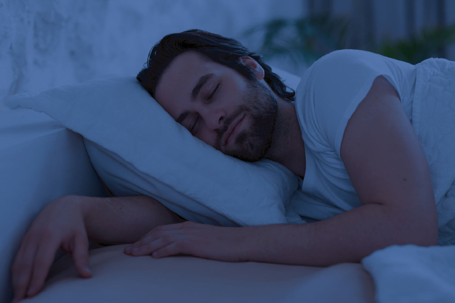 Here's Why We Should Take an Afternoon Nap After Meal – Sandhus Nutrition