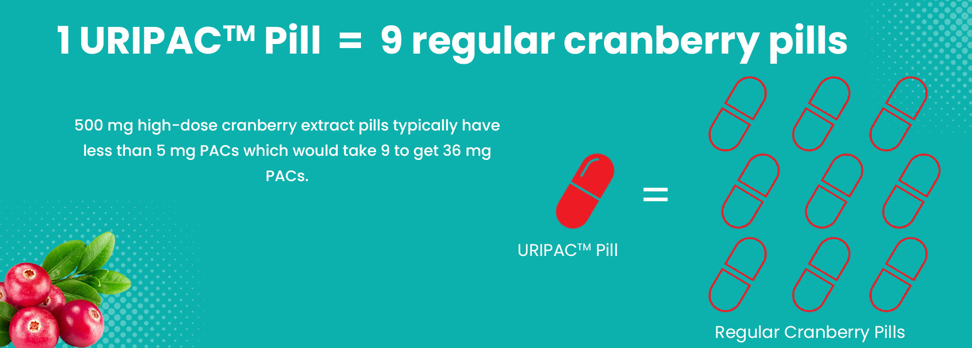 Naturally Support Urinary Tract Health | Sandhus – Sandhus Nutrition